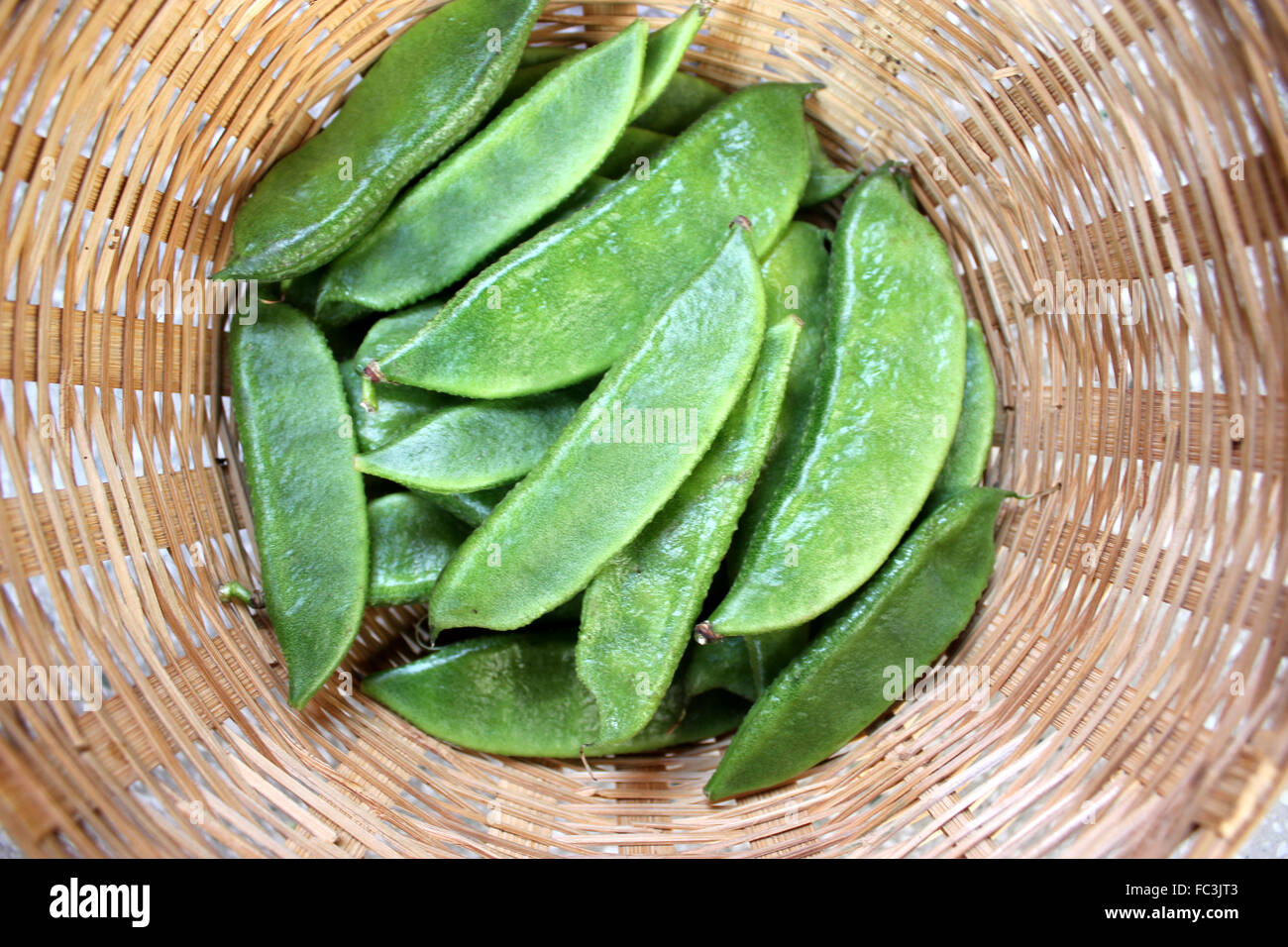 Dolichos purpureus hi-res stock photography and images - Alamy