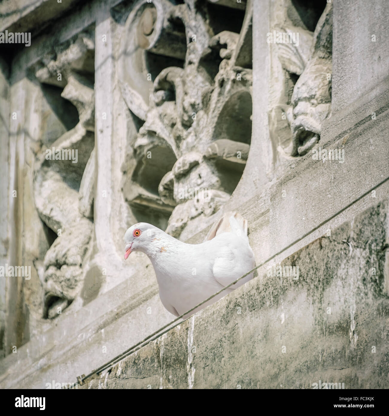 White parapet hi-res stock photography and images - Alamy