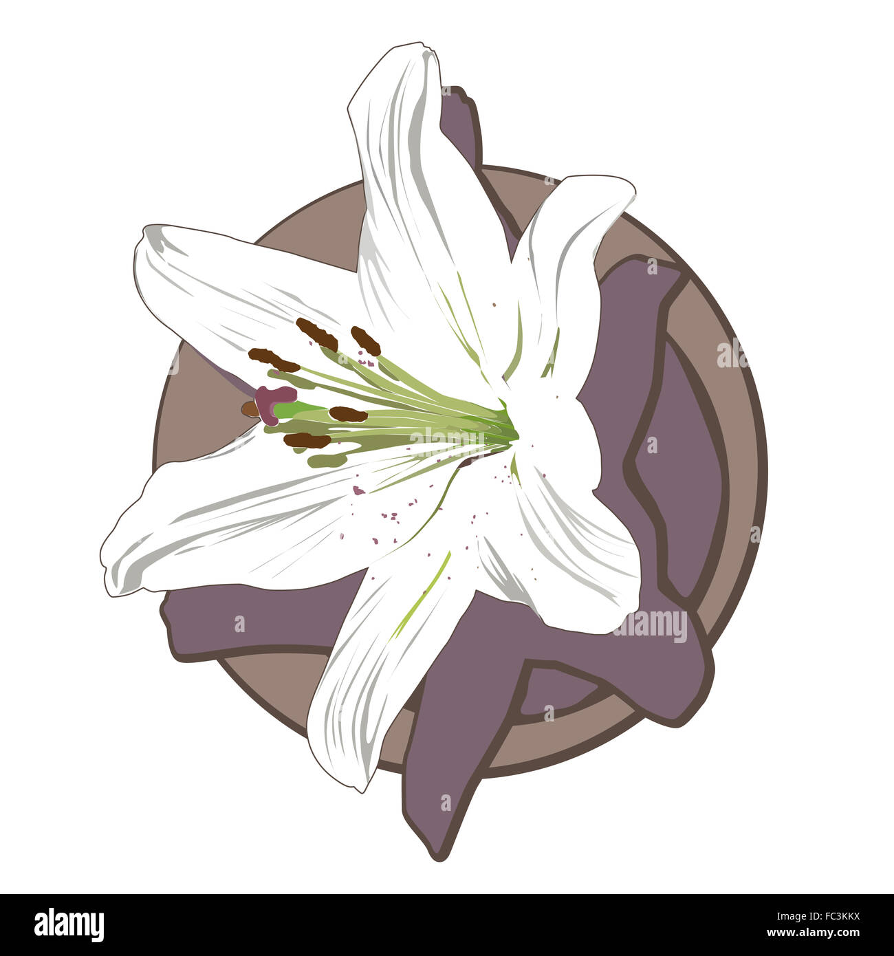 white lily clip art Stock Photo - Alamy