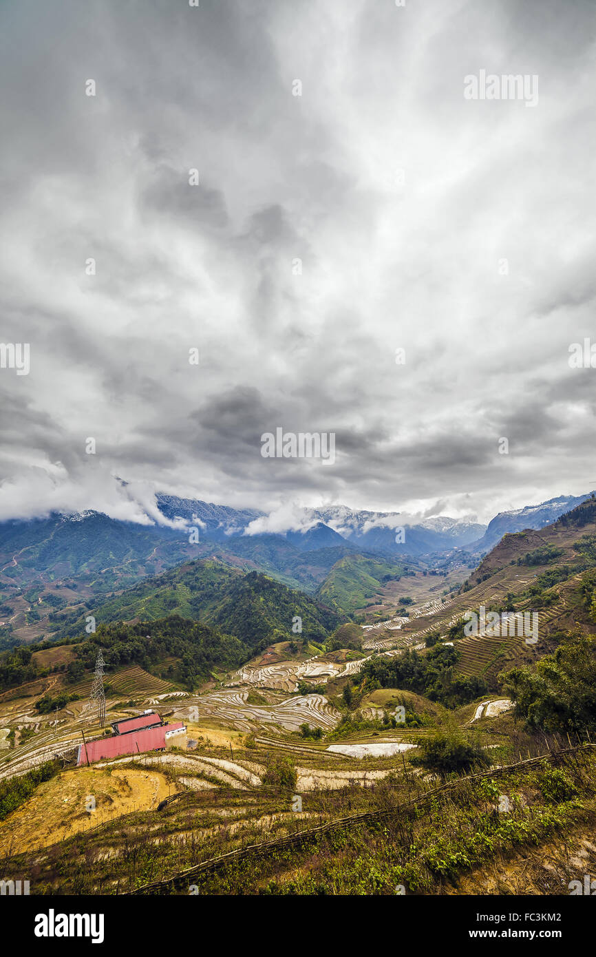 Rice field terraces. Sapa Vietnam Stock Photo - Alamy