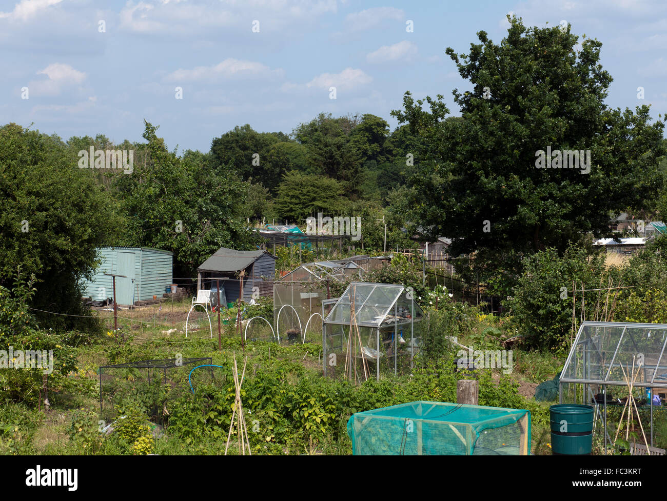 Allotment allotments urban city hi-res stock photography and images - Alamy