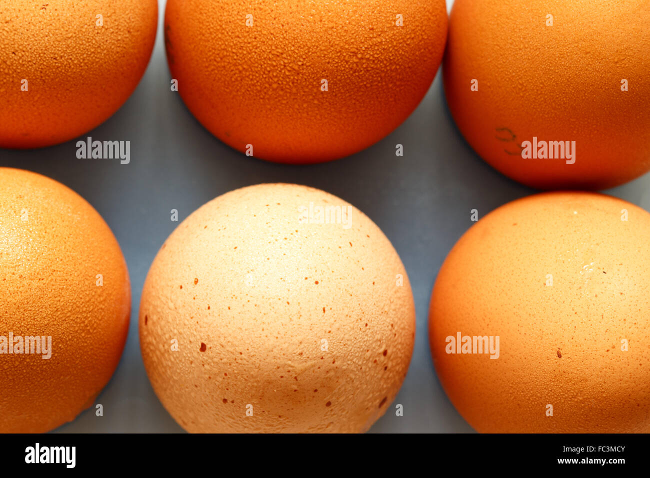 Wind egg hi-res stock photography and images - Alamy