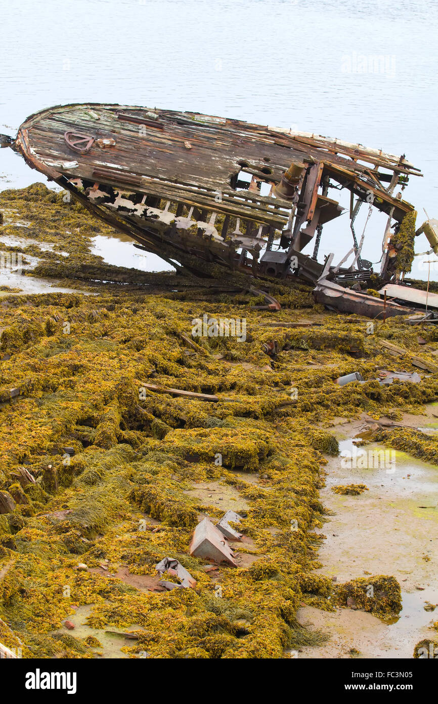 Ship skeleton hi-res stock photography and images - Alamy