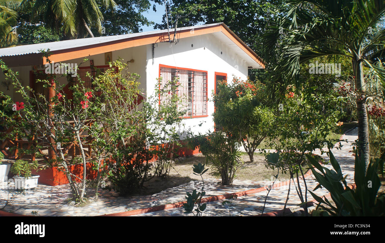 Onla hi-res stock photography and images - Alamy