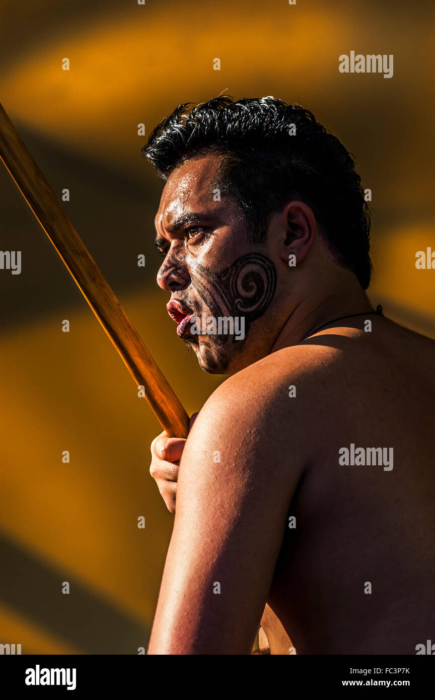 Maori performers doing haka war hi-res stock photography and images - Alamy
