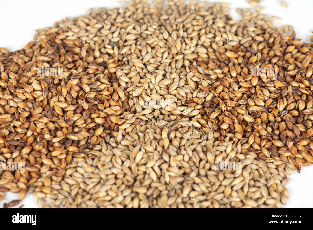 malt grains closeup Stock Photo - Alamy