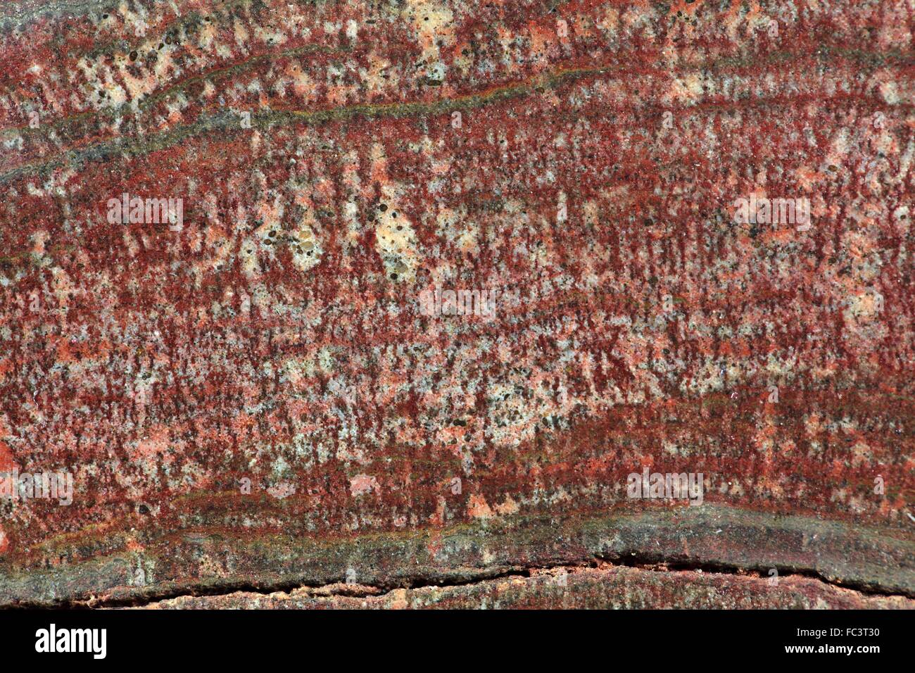 Stromatolites fossils hi-res stock photography and images - Alamy