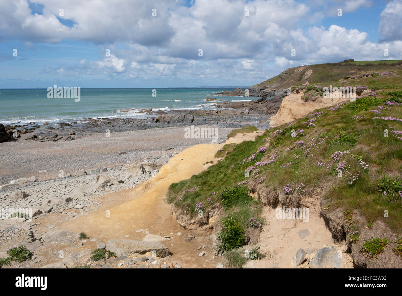Overlooking the beach at Gunwalloe Church Cove Cornwall on the Lizard ...