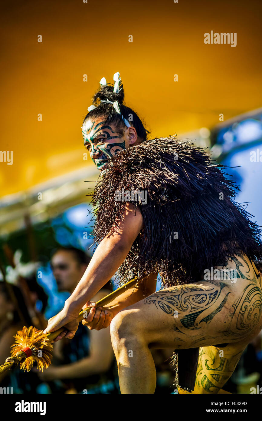 Maori War Dance Stock Photos & Maori War Dance Stock Images - Alamy