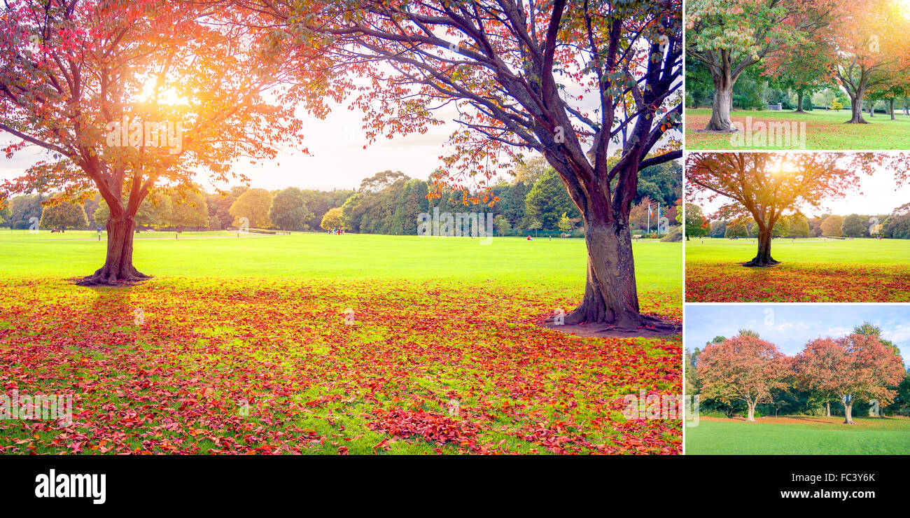 Collage With Sun High Resolution Stock Photography and Images - Alamy