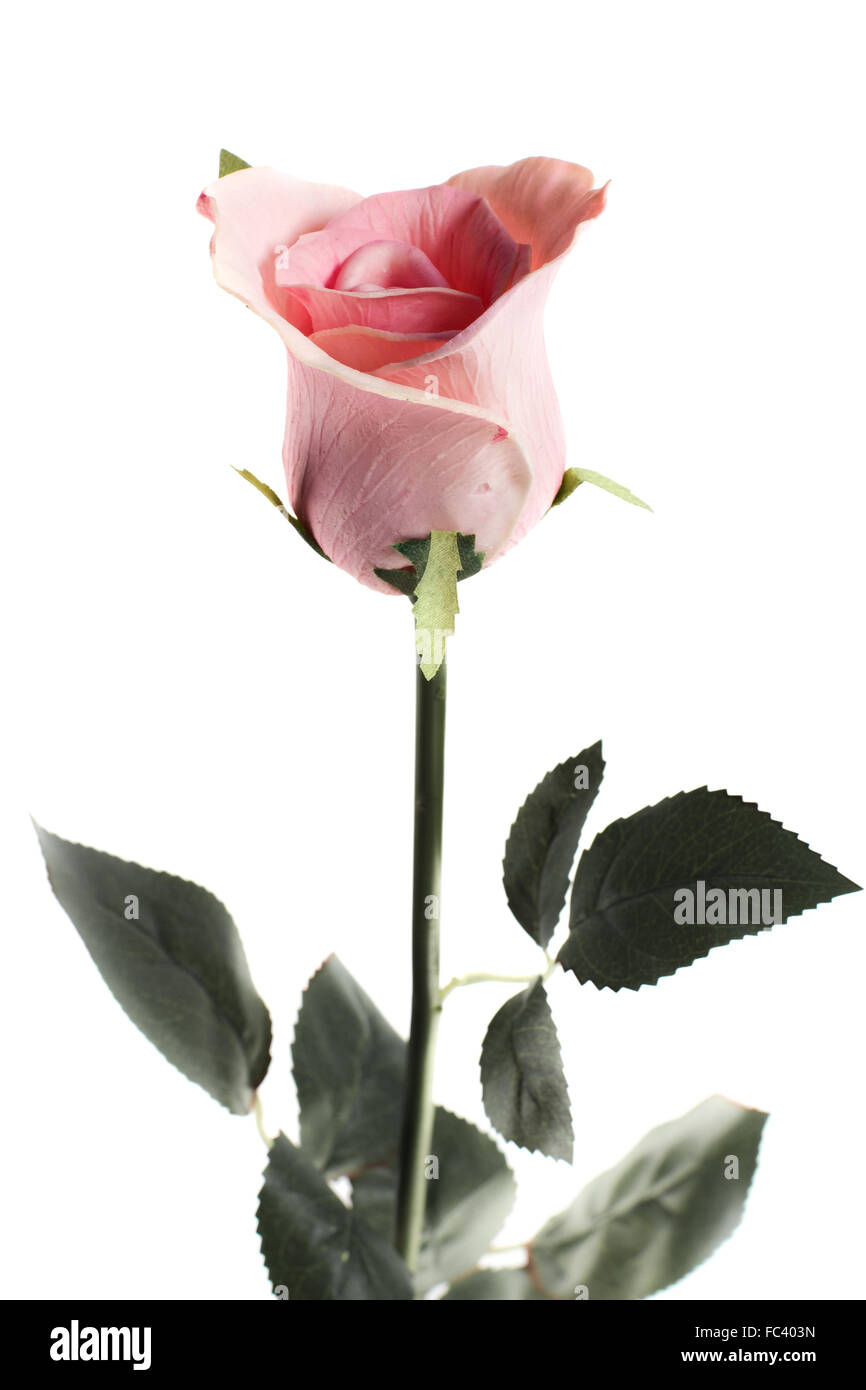 Synthetic latex hi-res stock photography and images - Alamy