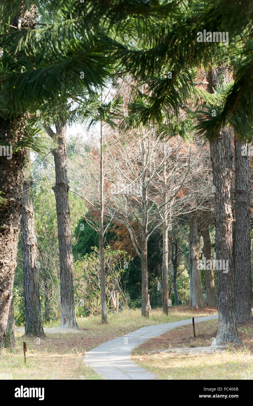 Petal Path High Resolution Stock Photography and Images - Alamy