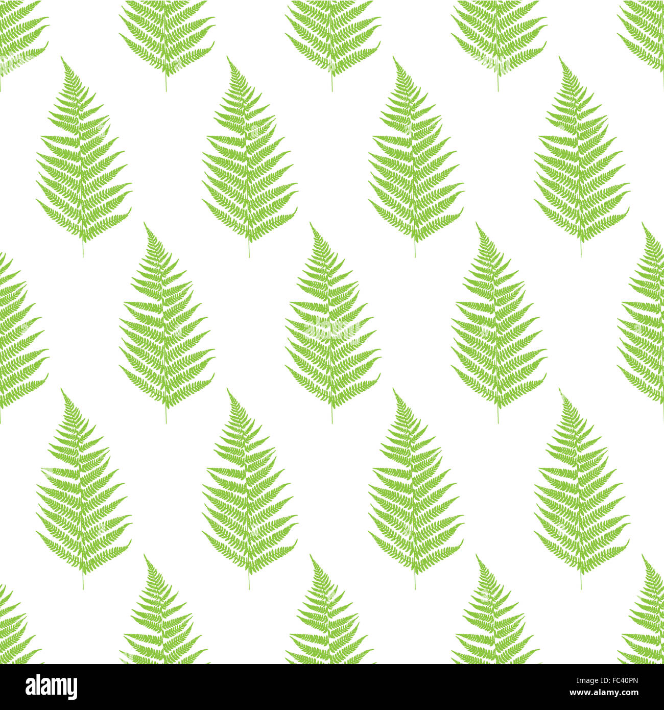 Fern frond silhouettes seamless pattern. Vector illustration Stock ...