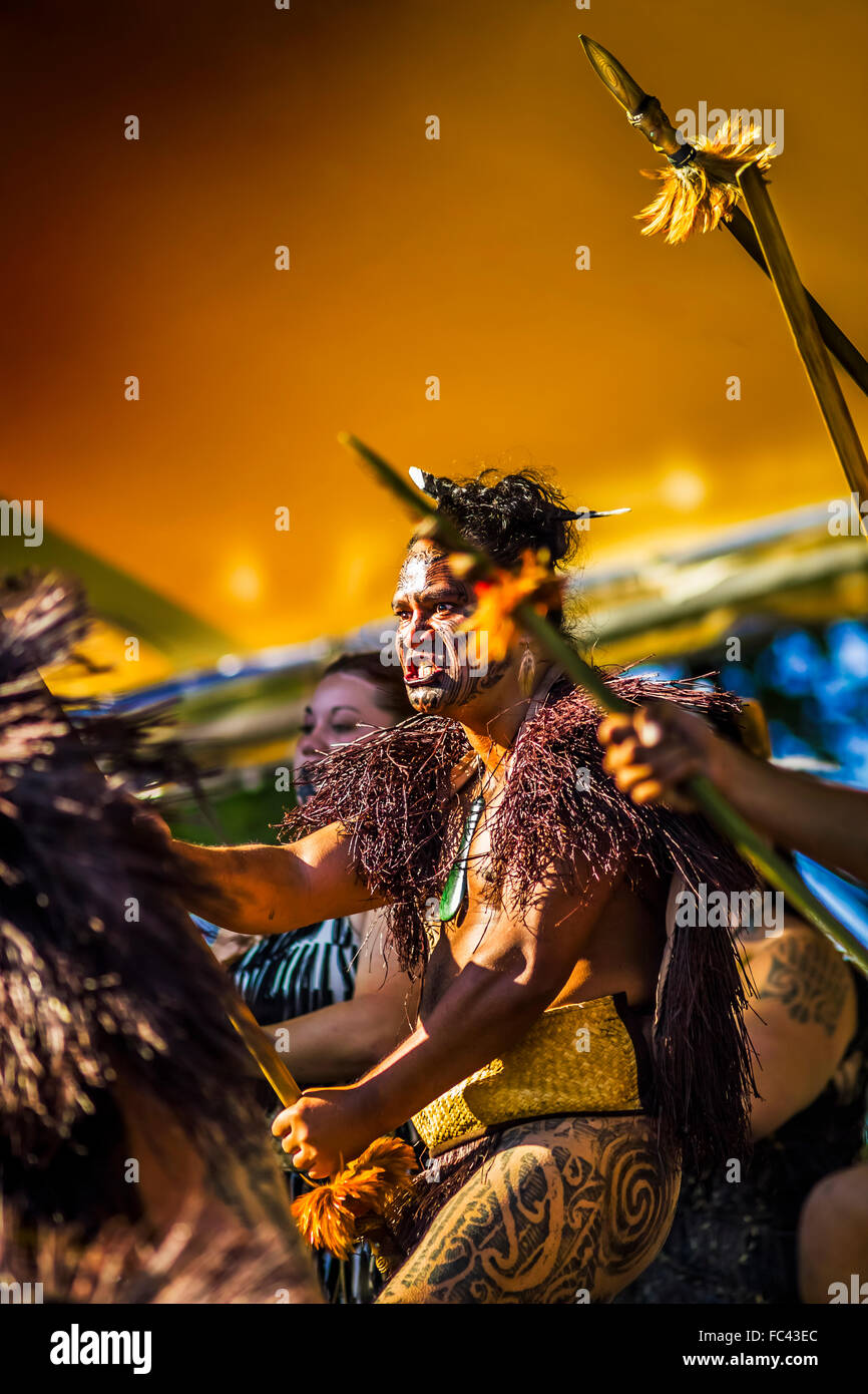 Haka maori ancestral war cry hi-res stock photography and images - Alamy
