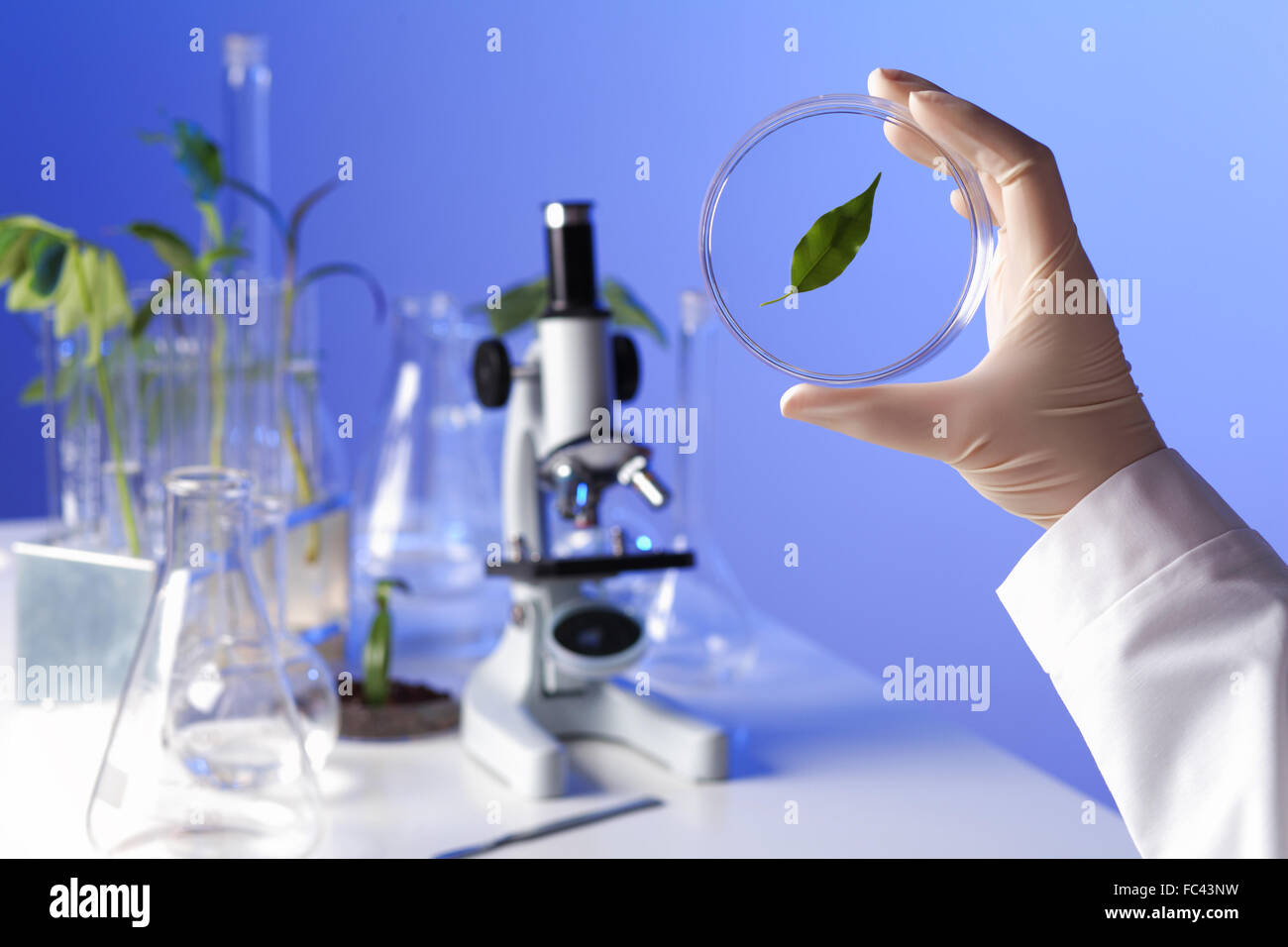 Seed research equipment hi-res stock photography and images - Alamy