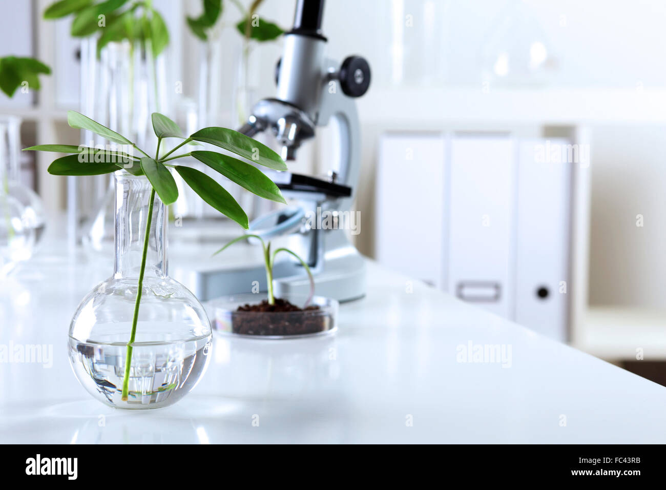 Green plants and scientific equipment in biology laborotary Stock Photo ...