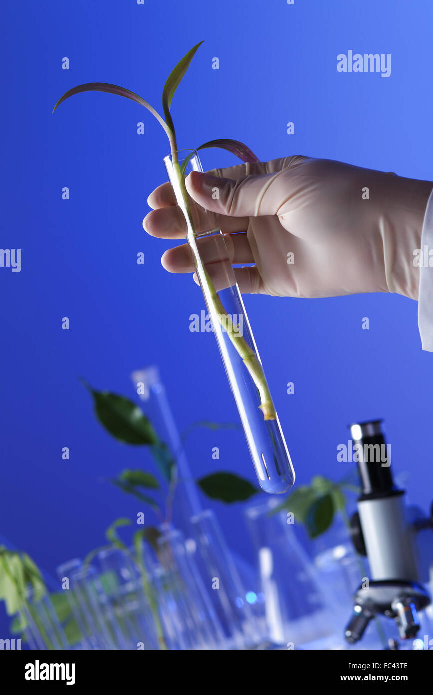 Green plants and scientific equipment in biology laborotary Stock Photo ...