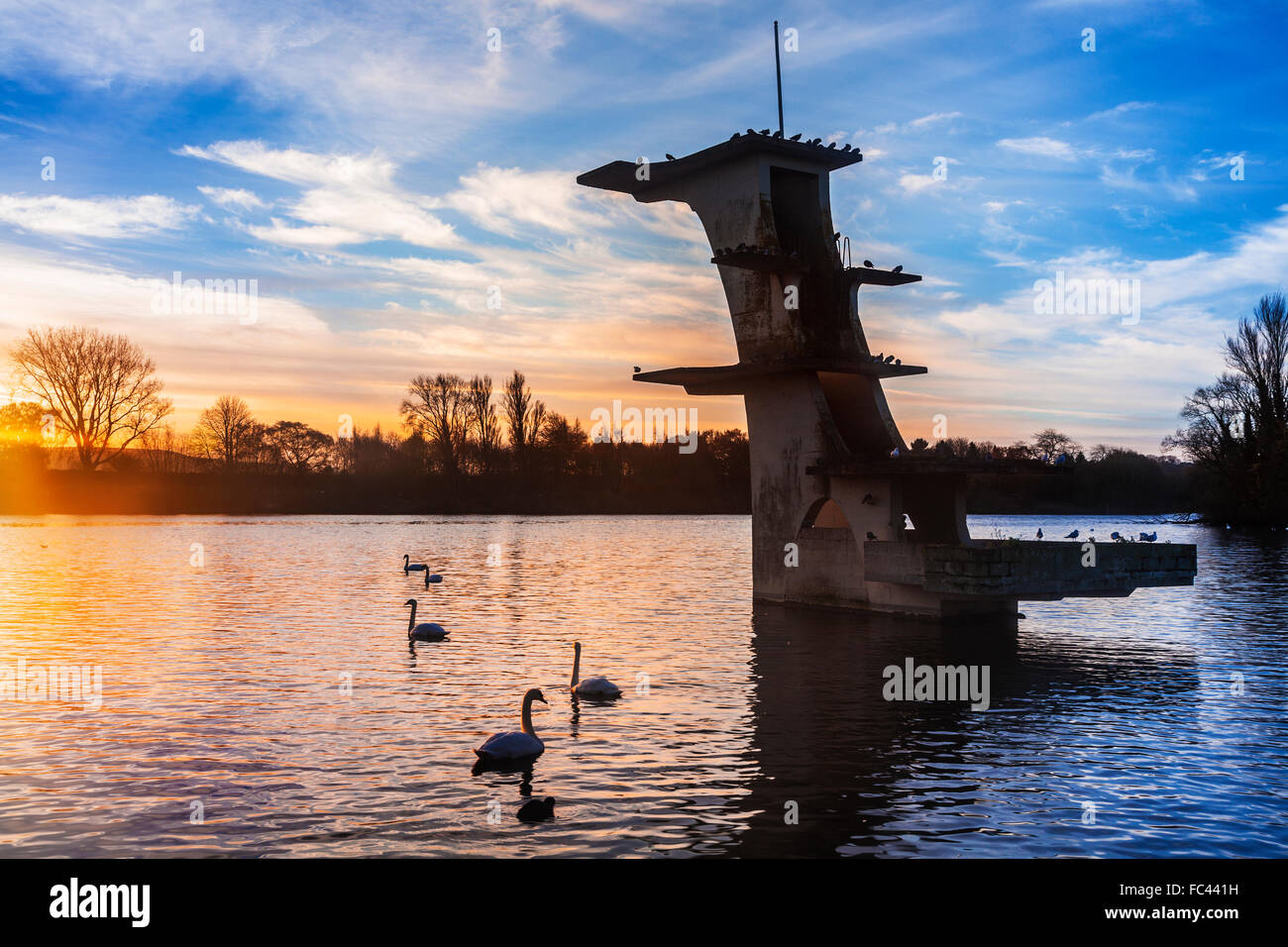 Country park birds hi-res stock photography and images - Alamy