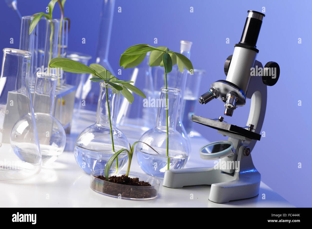 Green plants and scientific equipment in biology laborotary Stock Photo ...