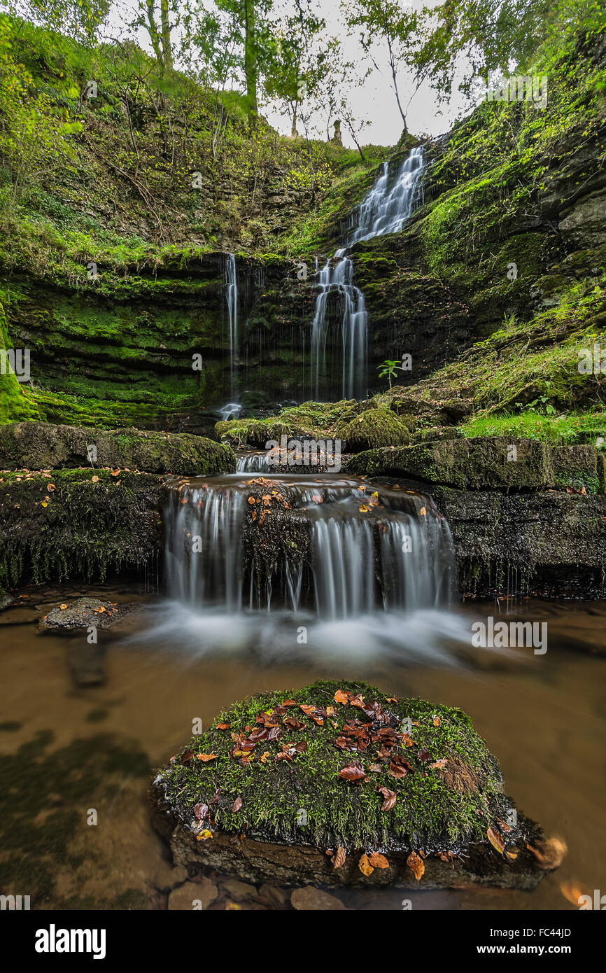 Scaleber Falls nestles in woods besides the Settle to Airton Road in ...