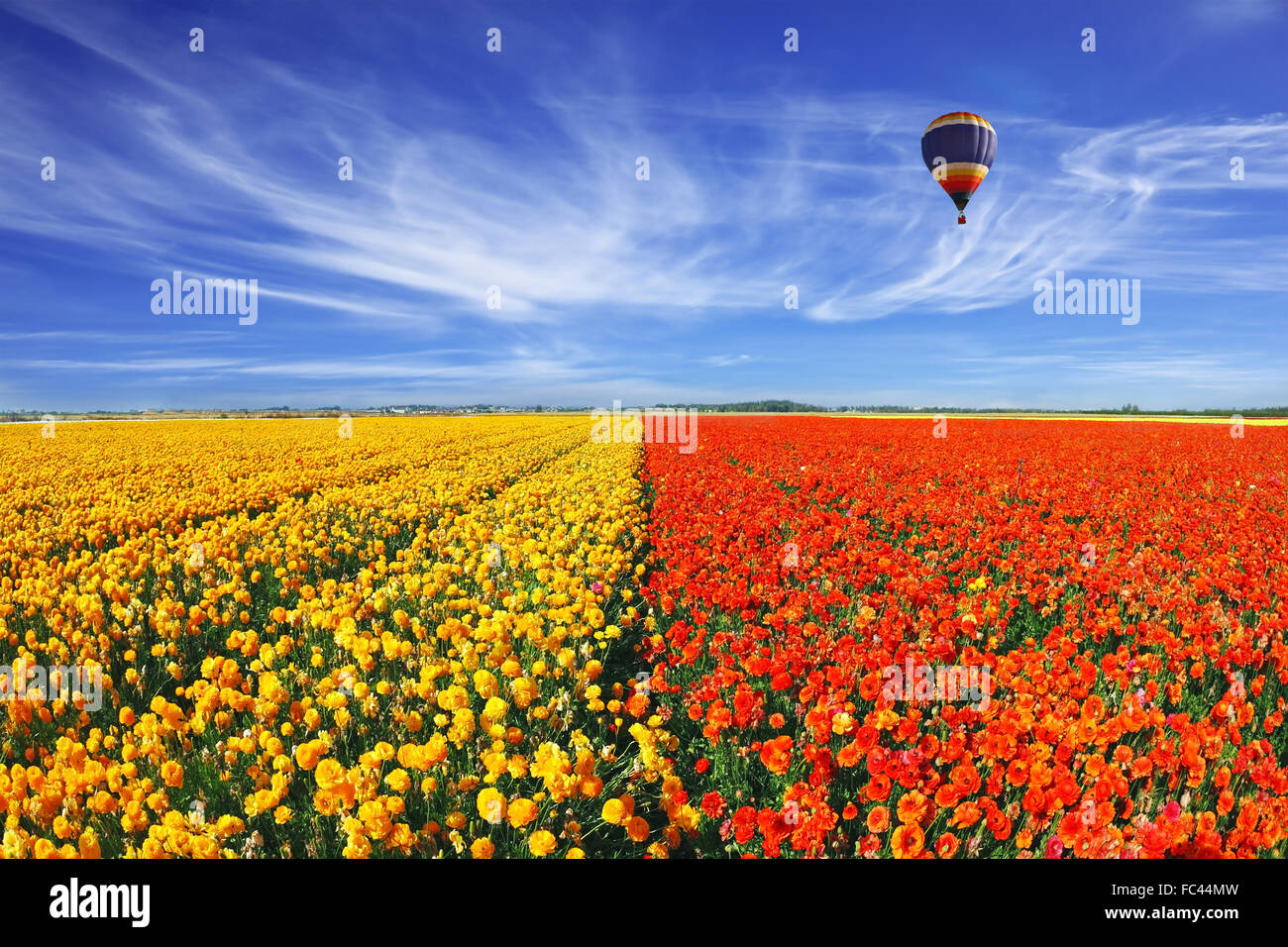 Wonderful mood Stock Photo - Alamy