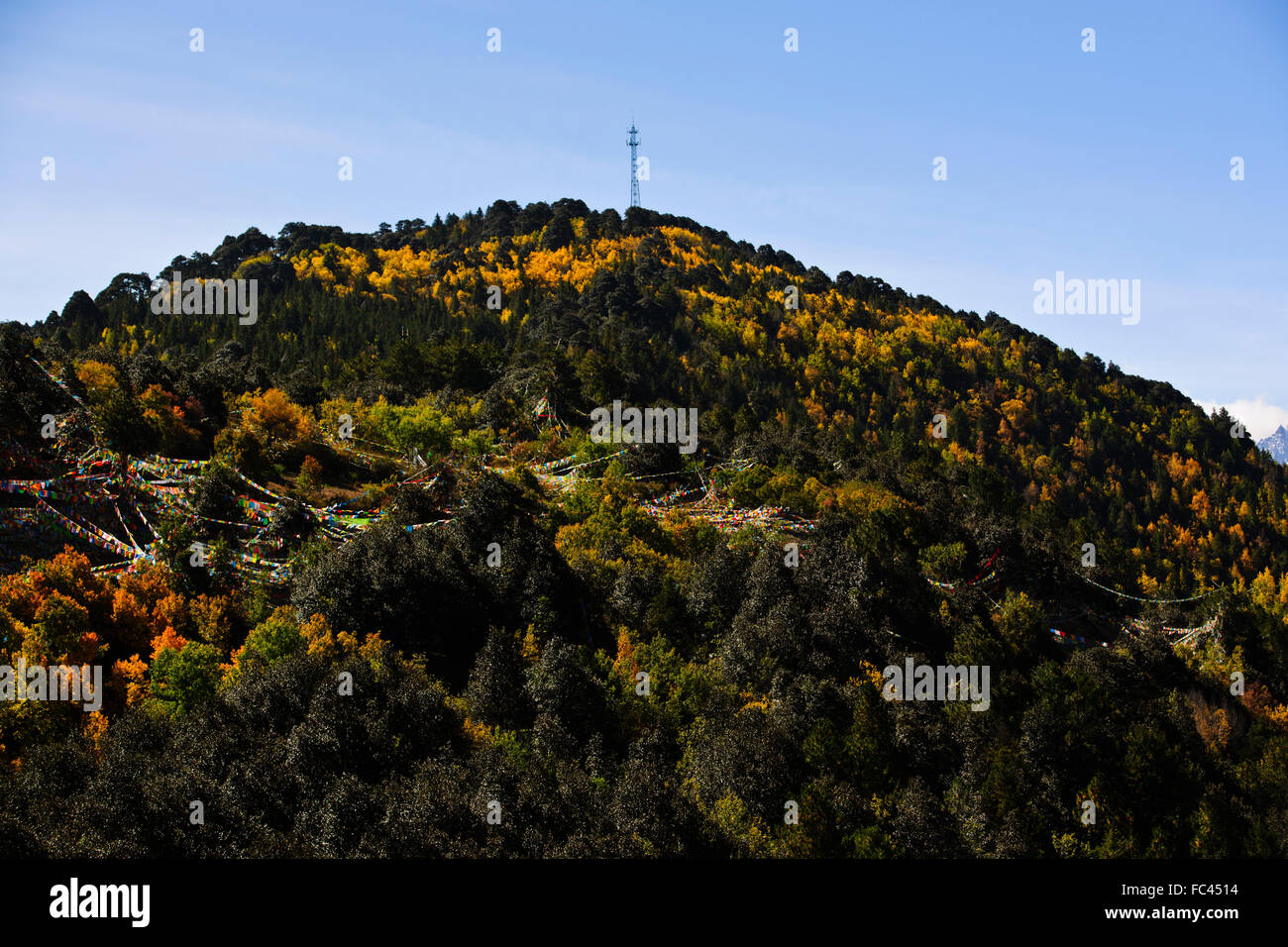 Feilal Temple Mingyong Glacier,Meili Snow Mountain Range,Holy Kawagebo ...