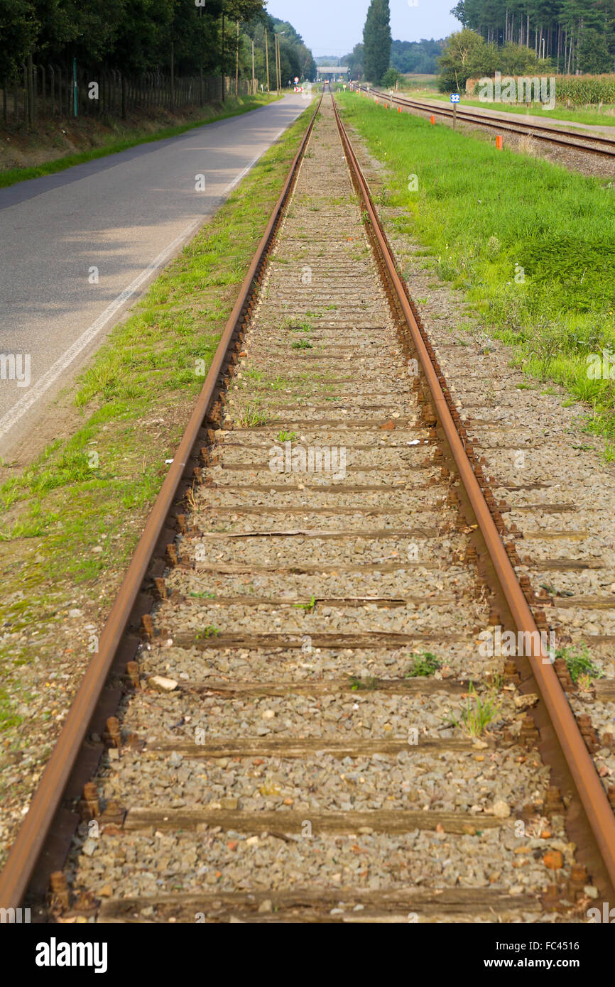Straight railway line going towards the horizon Stock Photo - Alamy