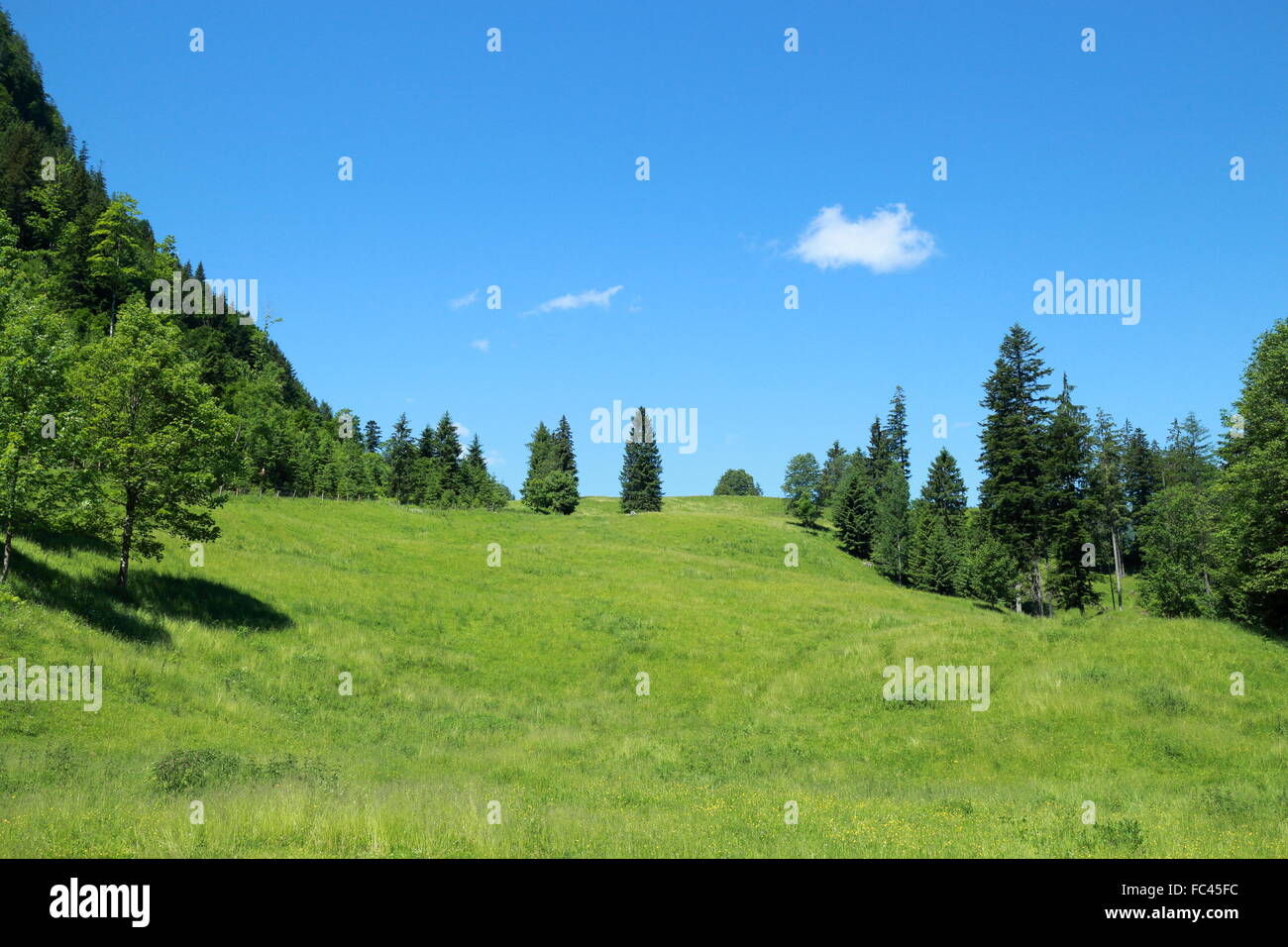 field in mountains Stock Photo - Alamy