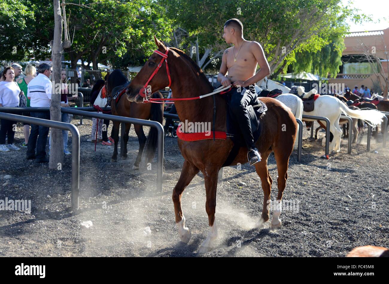 La Caleta, Costa Adeje, Tenerife. 20th January, 2016. Man on horseback at Festival of San ...