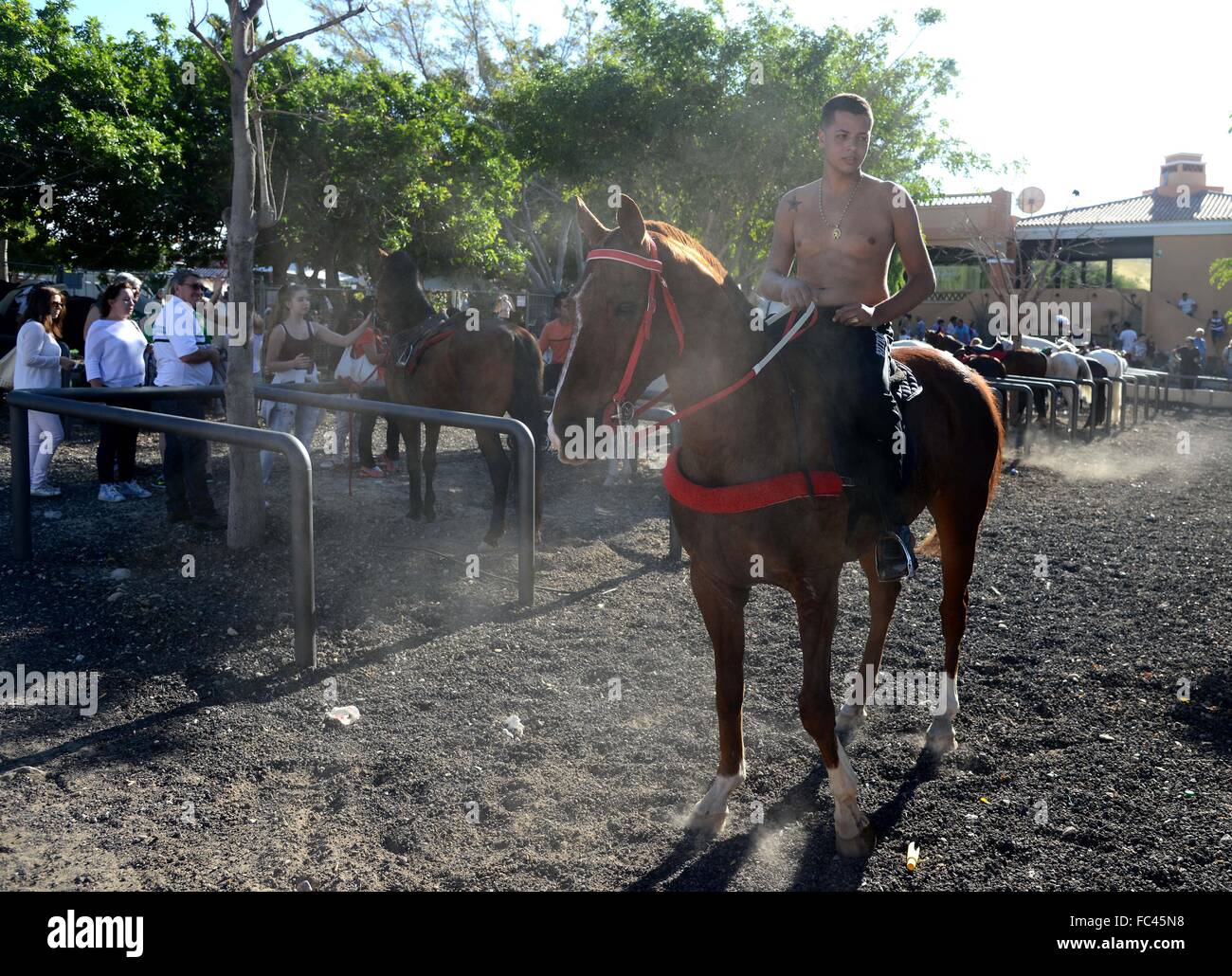 La Caleta, Costa Adeje, Tenerife. 20th January, 2016. Man on horseback at Festival of San ...