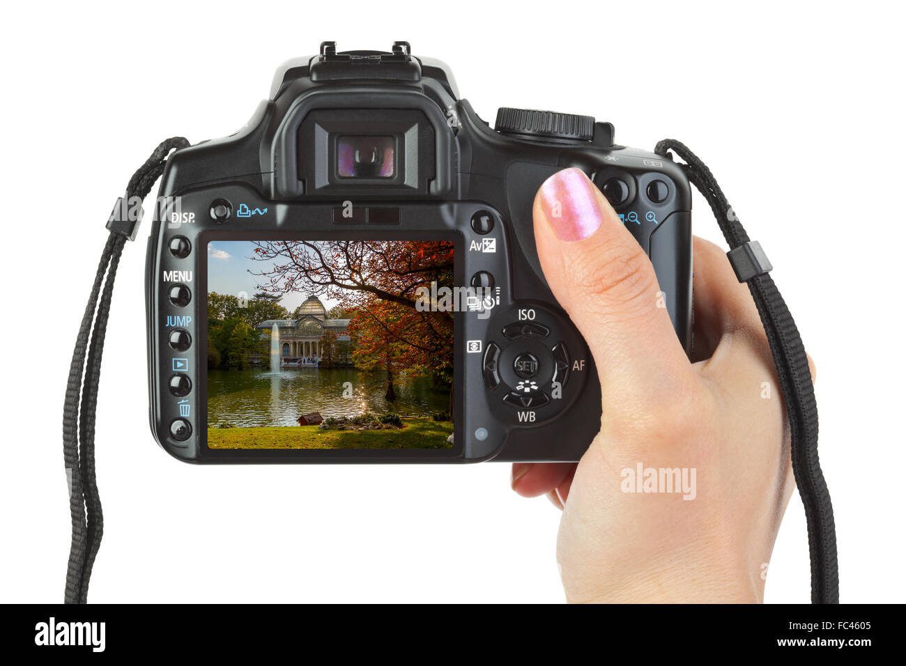 Garden park view Cut Out Stock Images & Pictures - Alamy