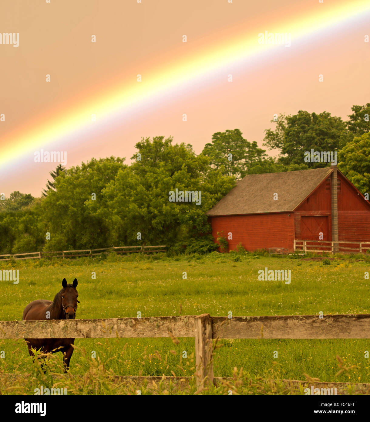 Country landscape with horse and rainbow Stock Photo - Alamy