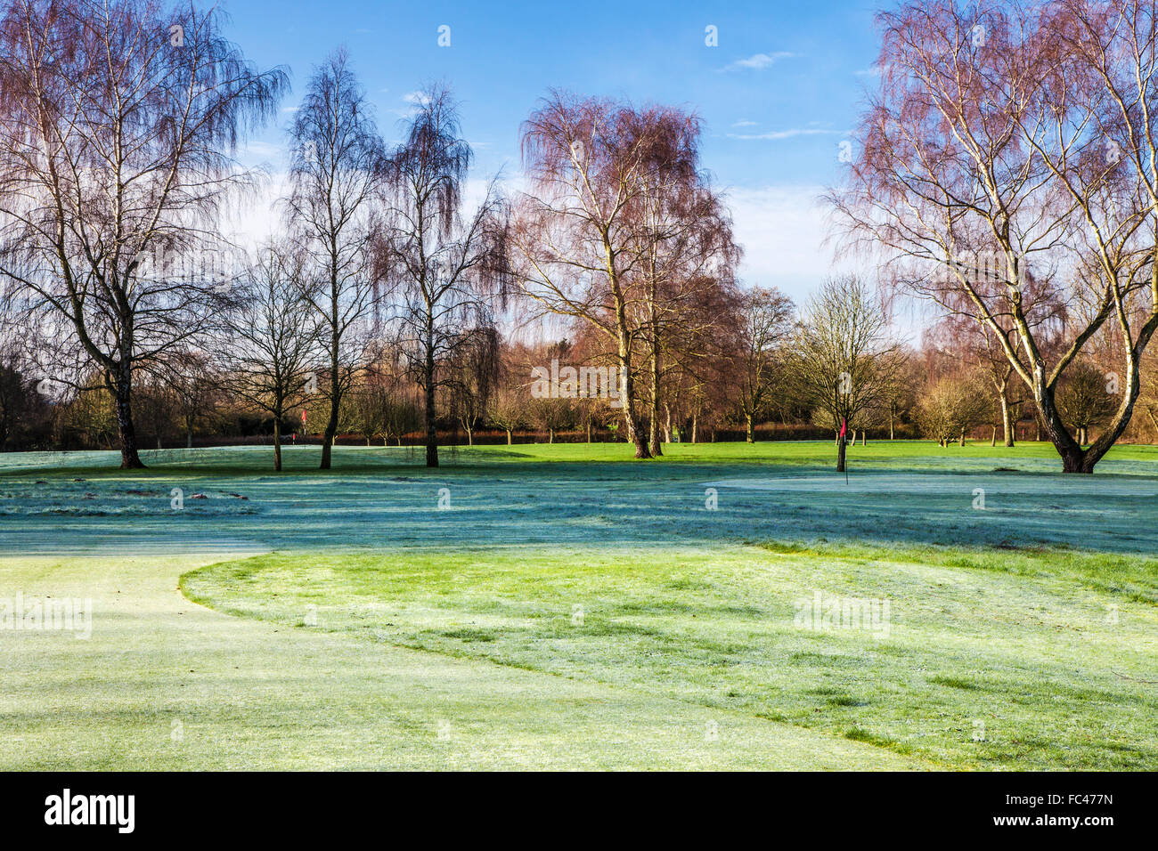 A winter trees on a frosty golf course Stock Photo - Alamy