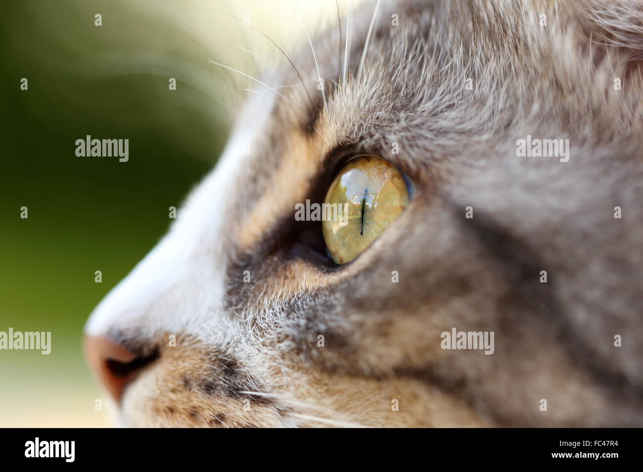 Blickmakro hi-res stock photography and images - Alamy