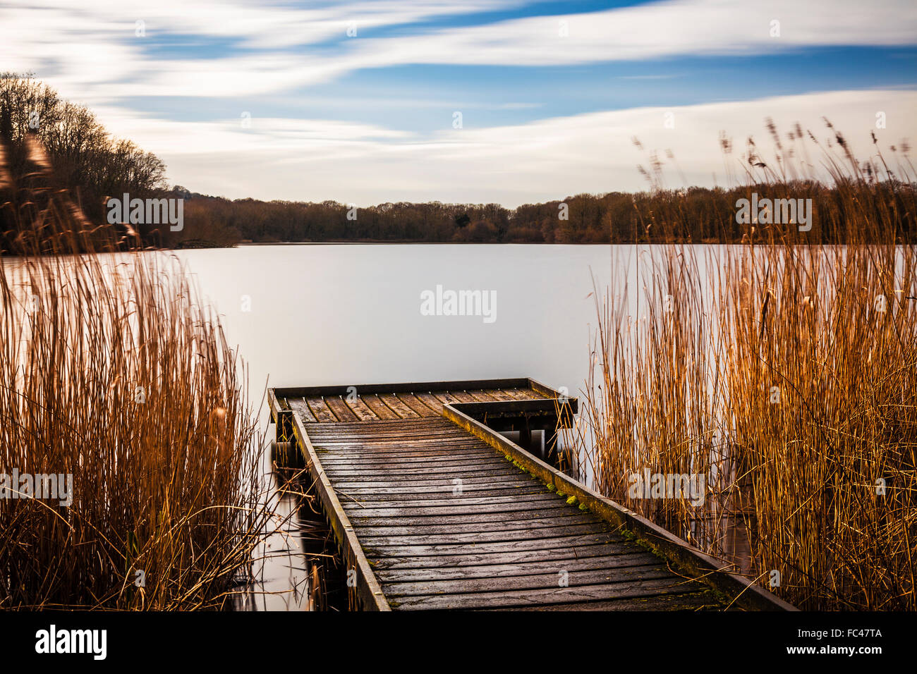 A sunny winter's day on Coate Water in Swindon Stock Photo - Alamy