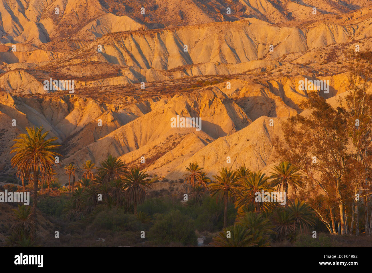 Tabernas, Tabernas Desert, Tabernas Desert Natural Park, Almeria ...