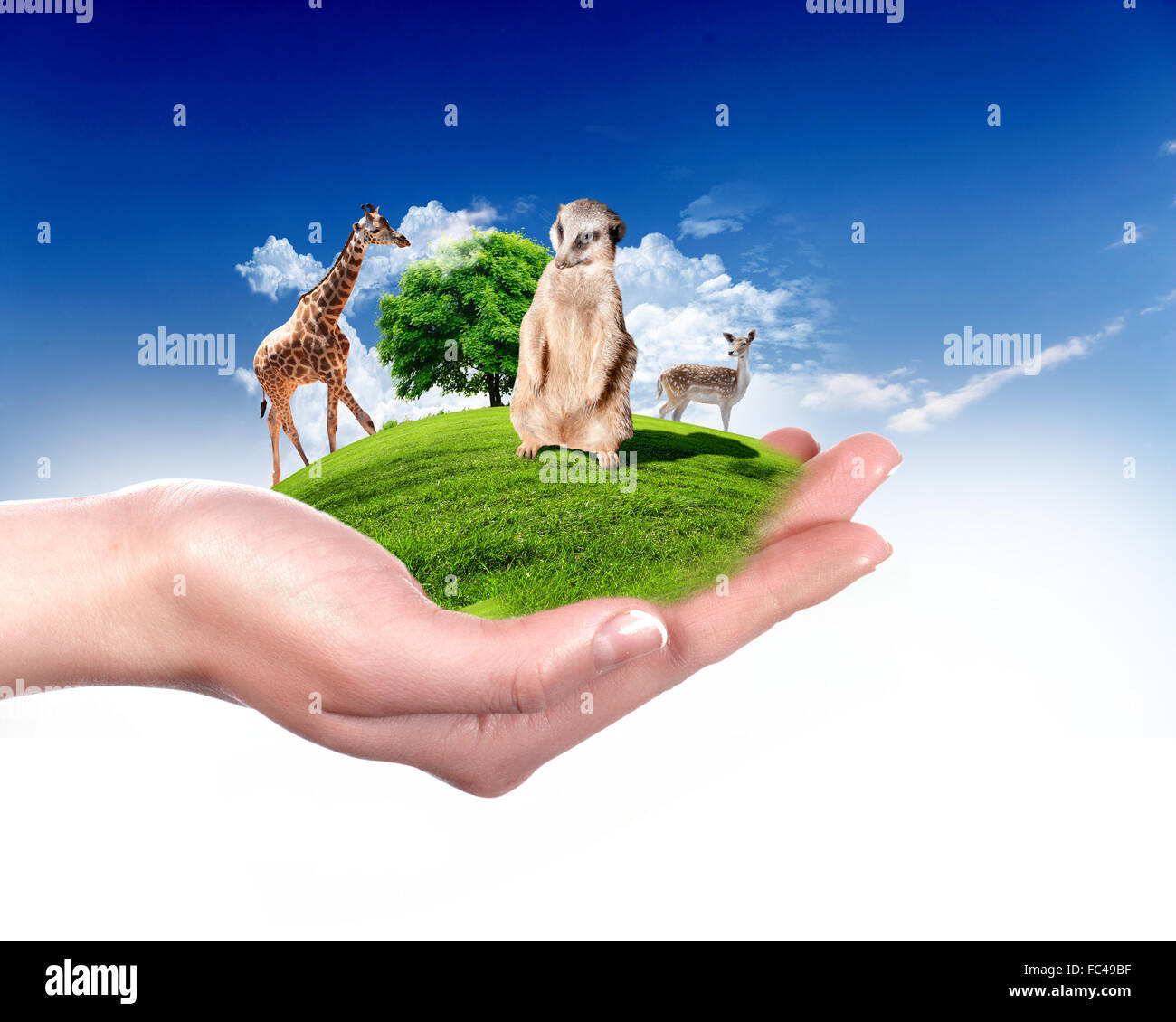 Green world and wildlife protection concept collage Stock Photo - Alamy