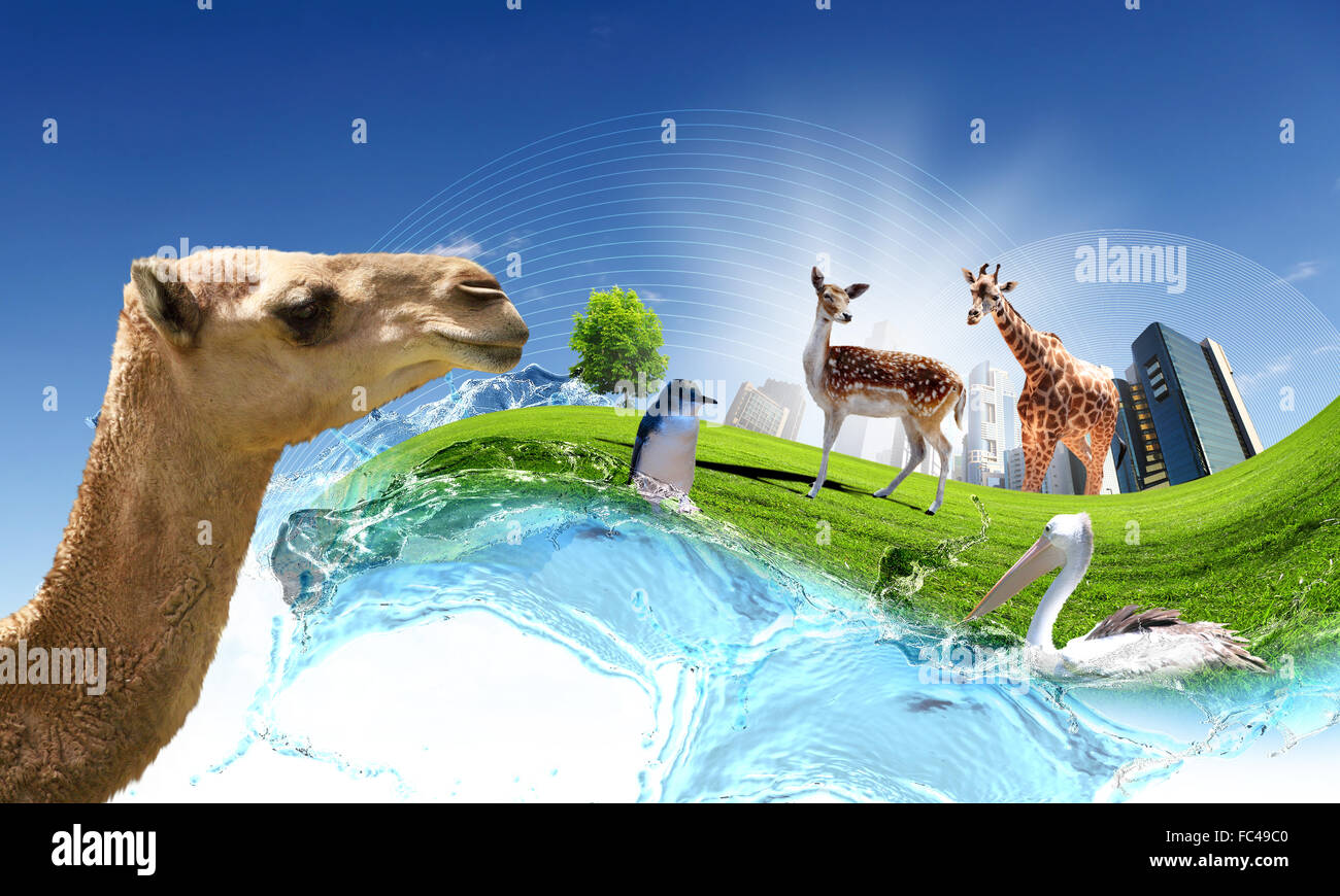 Nature, ecology and animals protection concept collage Stock Photo - Alamy