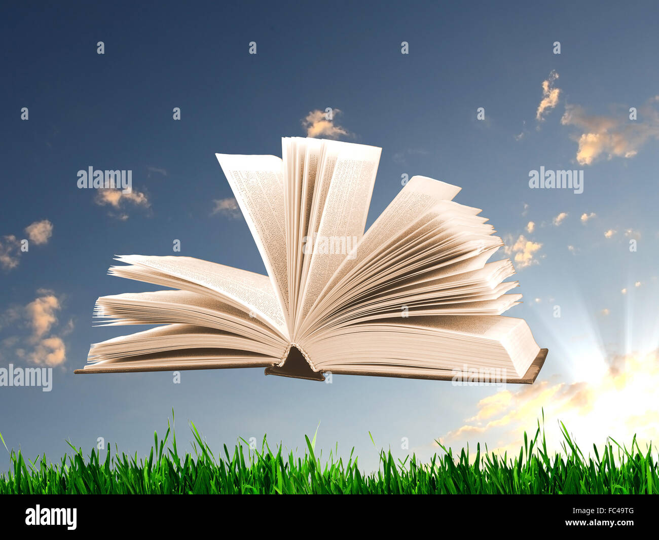 book in the air against green panoramic nature landscape Stock Photo ...