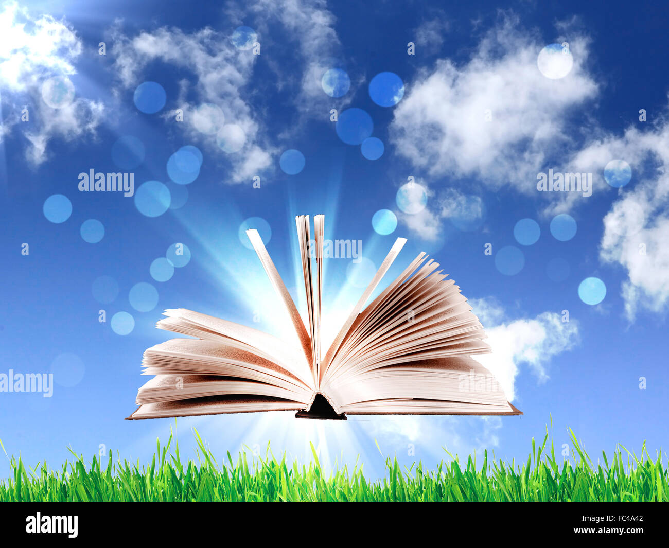 book in the air against green panoramic nature landscape Stock Photo ...
