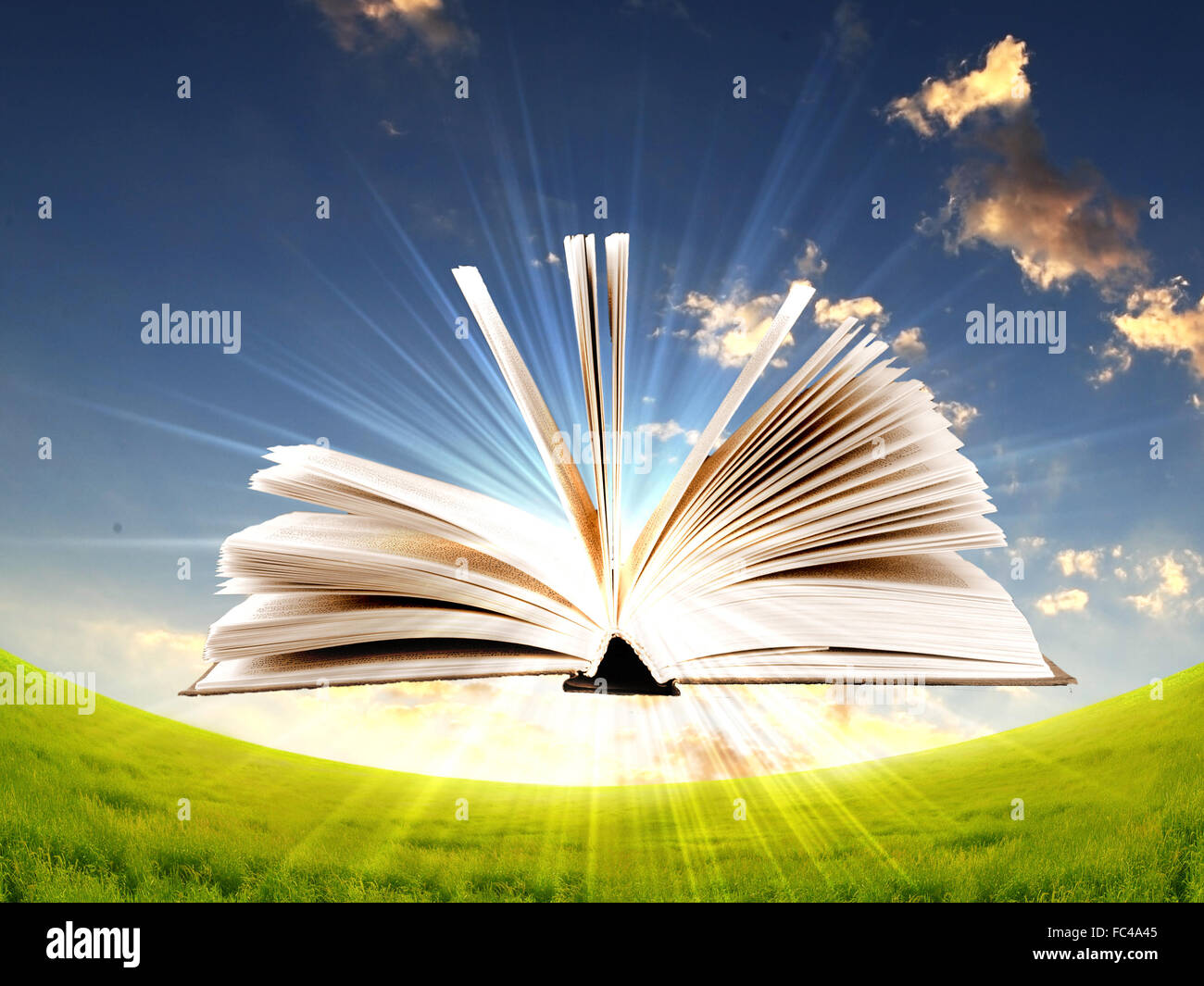 book in the air against green panoramic nature landscape Stock Photo ...