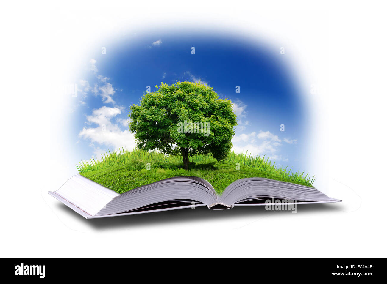 Open book with green nature world coming out of its pages Stock Photo ...