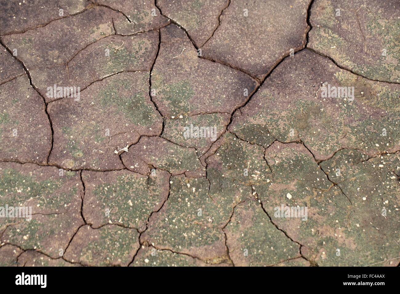 Mud surface with cracks Stock Photo - Alamy