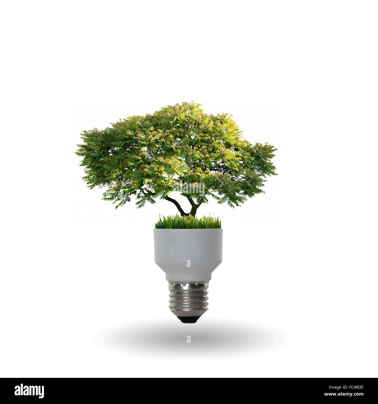 Growing a lightbulb hi-res stock photography and images - Alamy