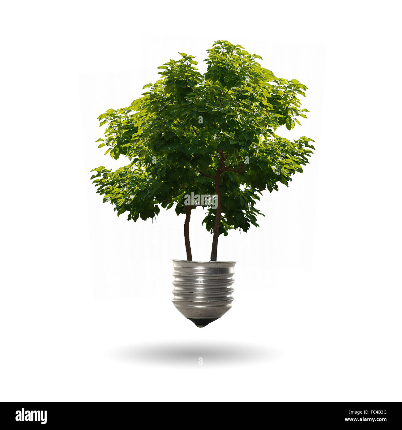 Green energy light bulb sustainable Cut Out Stock Images & Pictures - Alamy