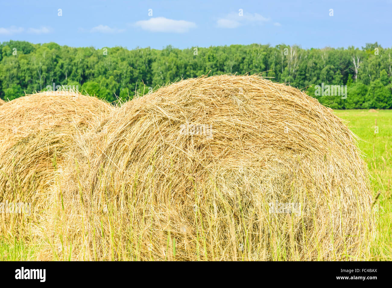 Bale o hi-res stock photography and images - Alamy