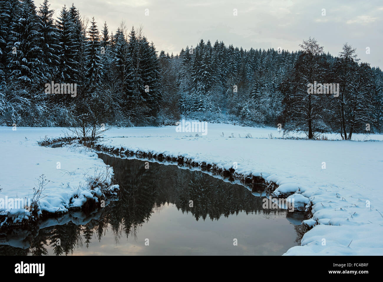 The Aufsess river near the Aufsess village in Germany, 20 January 2016 ...