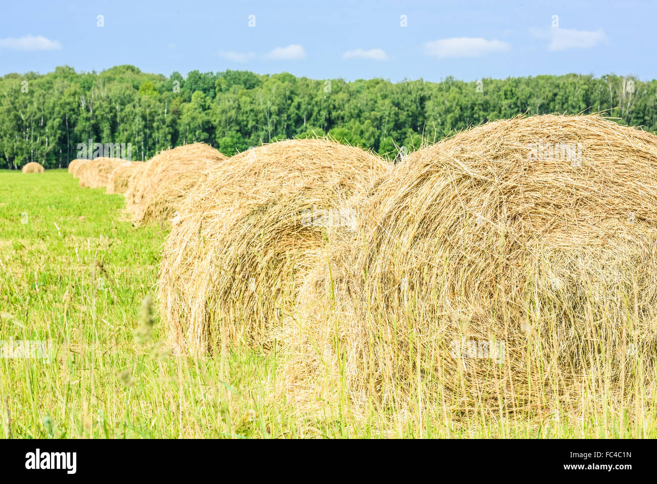 bale of hay Stock Photo - Alamy