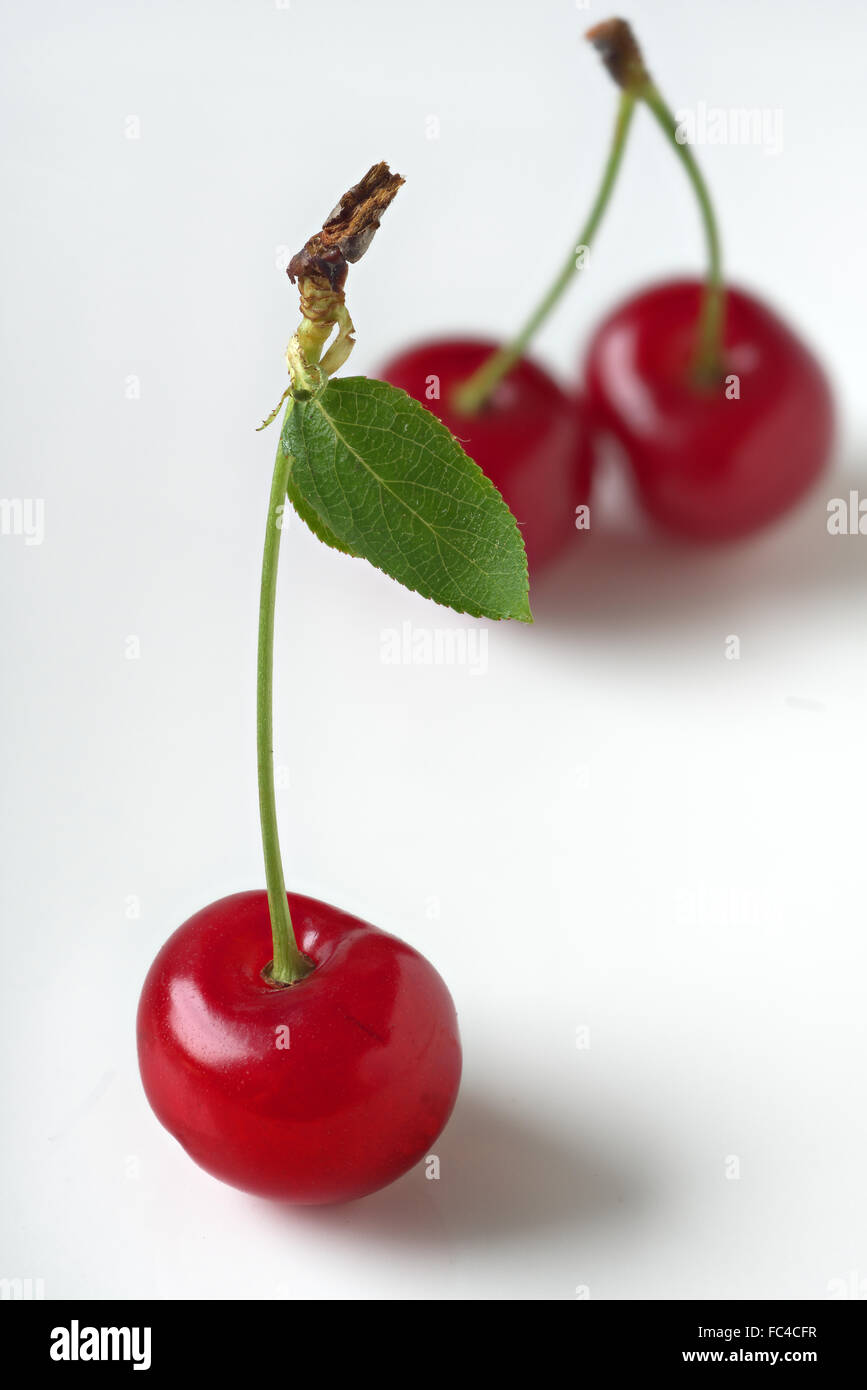 Three cherry hi-res stock photography and images - Alamy