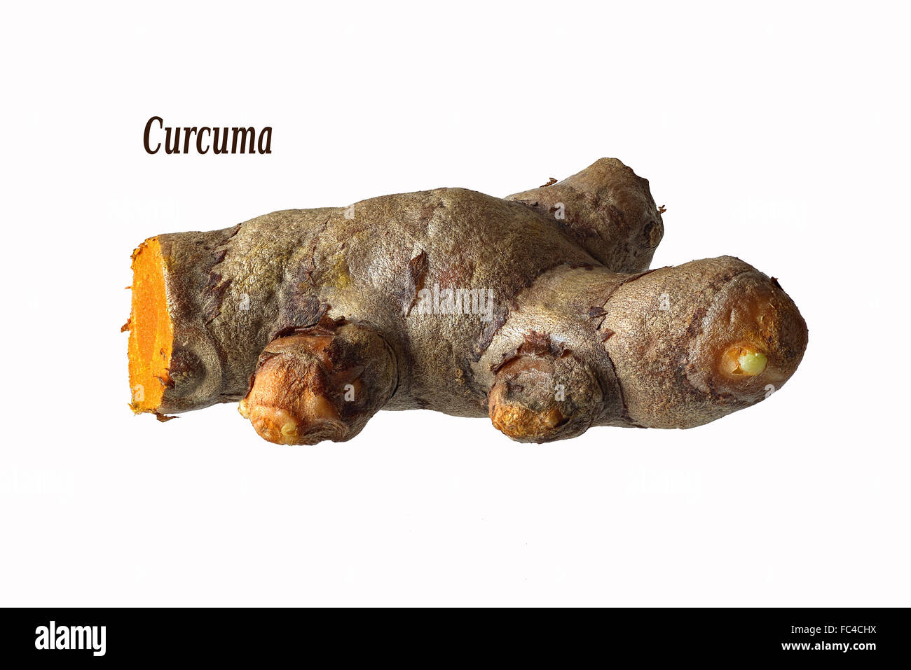 Curcuma tuber hi-res stock photography and images - Alamy